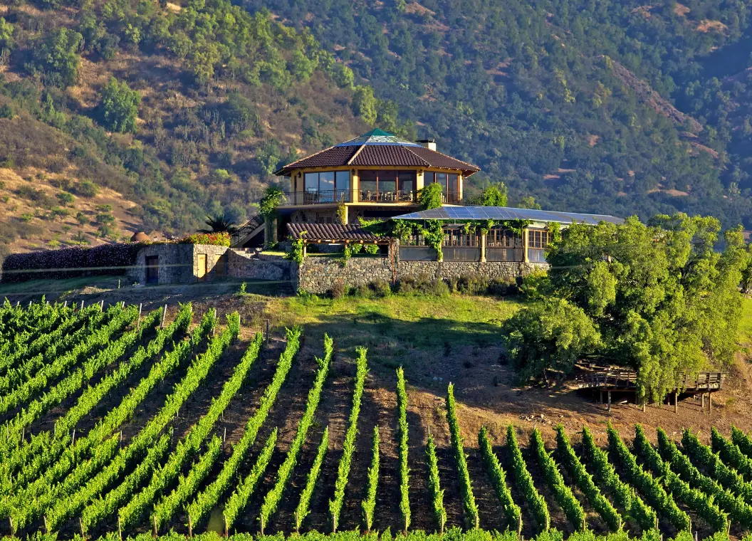 Las 10 Mejores Cosas Que Hacer en Santa Cruz (2026) | Tur.com